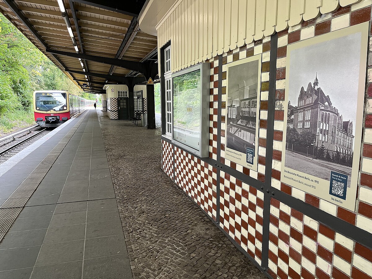 S-Bhf Botanischer Garten blüht auf | S-Bahn Berlin GmbH